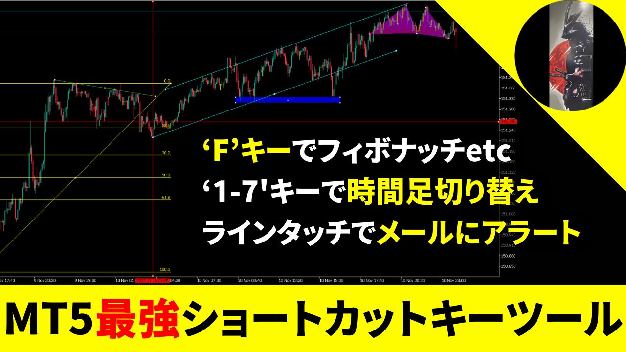 MT5ショートカットキーツール | 自動取引 FX STORE