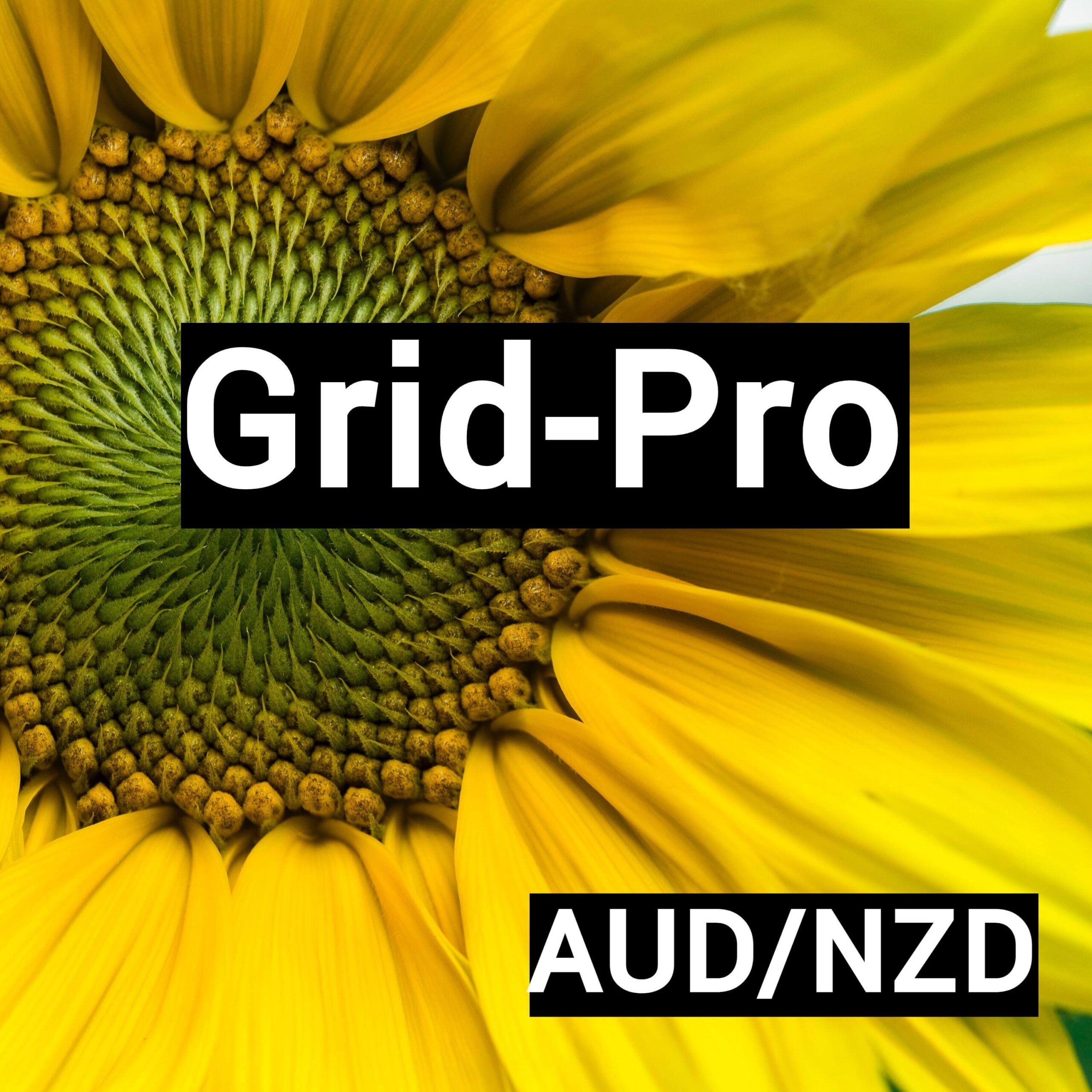 Grid-Pro | 自動取引 FX STORE