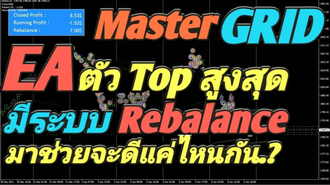 Master-Advanced-Hedged-Grid-V2.0 | 自動取引 FX STORE